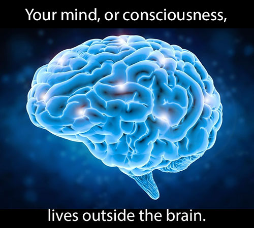 Your brain cannot control what does not live there: your mind ...